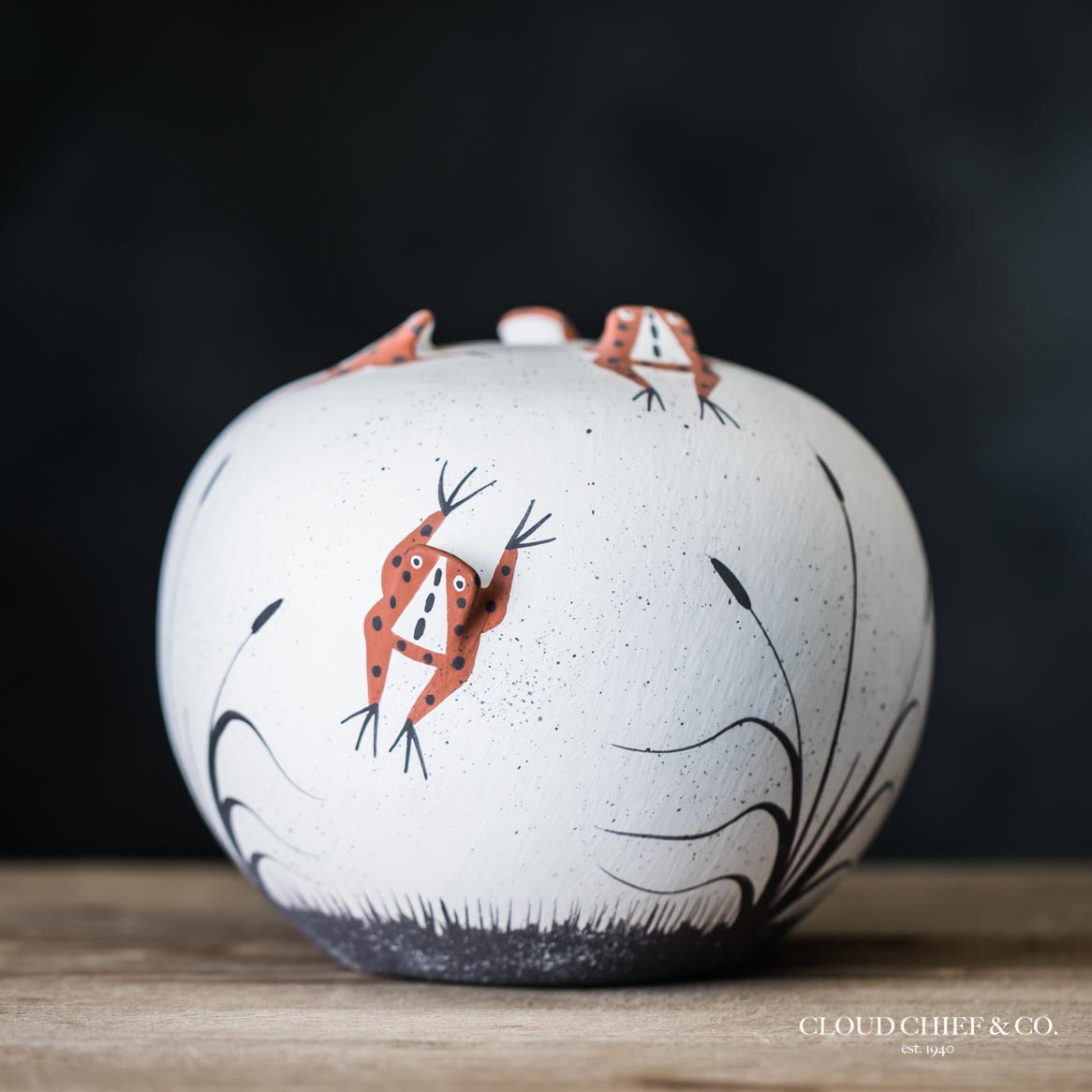 Native American Zuni Seeds Pot by Marcus Homer | Cloud Chief & Co.